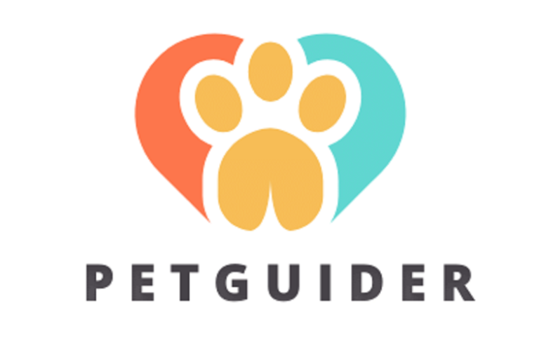 The Life Cycle of Sharks: A Comprehensive Guide for you